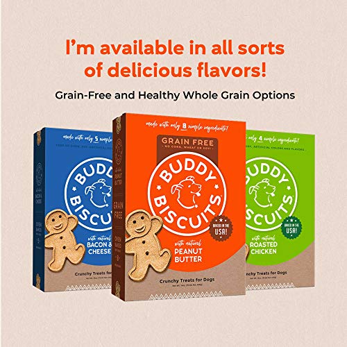 Buddy Biscuits Oven Baked Treats with Peanut Butter, Whole Grain - 16 oz. - Single Box (12500_Single)