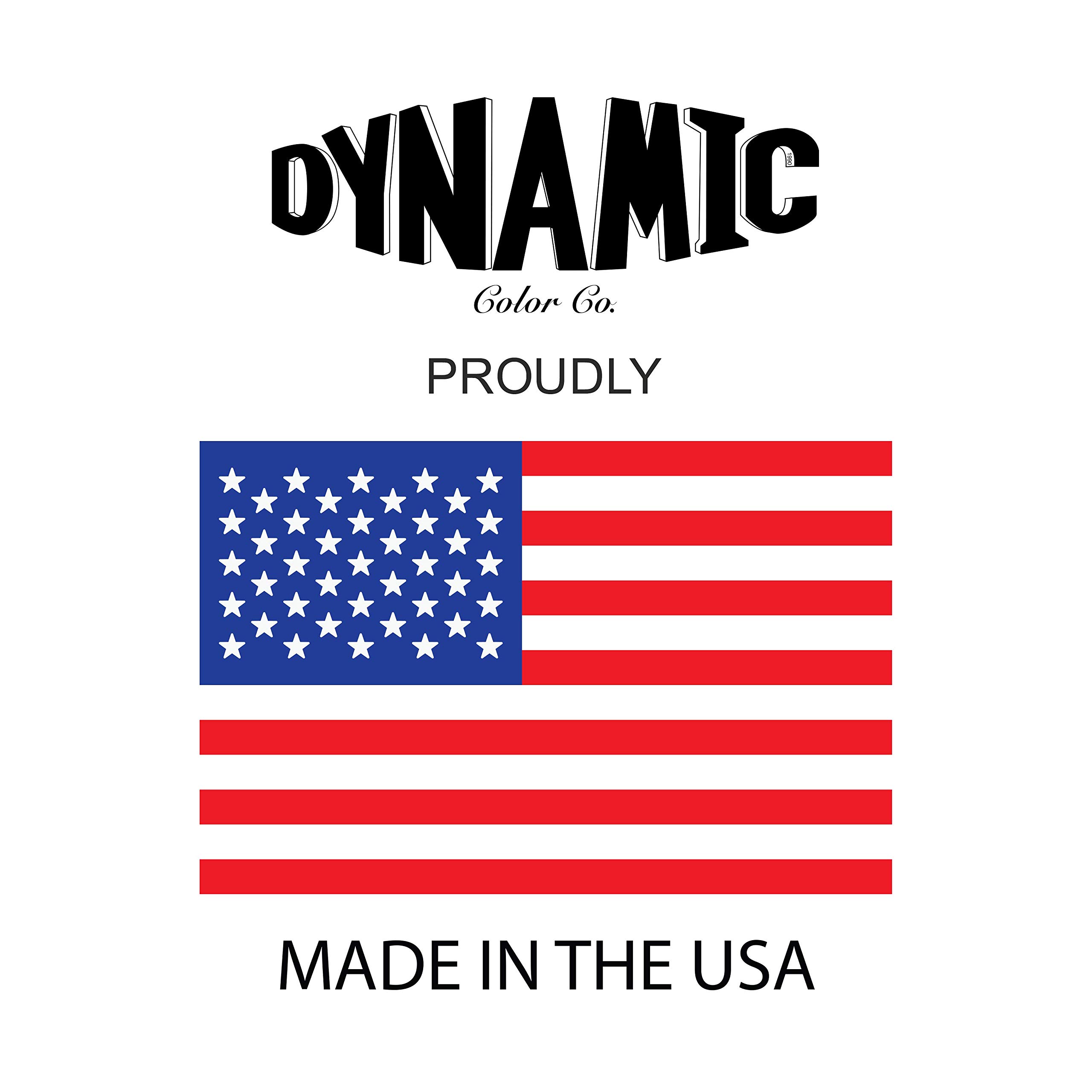 Dynamic Color Co - Circa Color Set 1oz Includes: Electric Blue, Sky Blue, Teal, Turquoise, Bright Orange, Light Brown, Lyme Green, Leaf Green, Tropical Purple, Lavender, Hot Pink, Bubble Gum Pink
