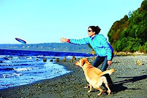 ChuckIt! Paraflight Flyer Dog Frisbee Toy Floats On Water; Gentle On Dog's Teeth And Gums; Large