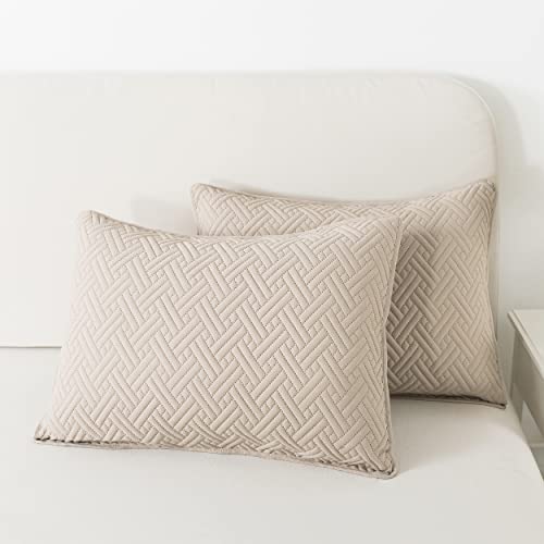 Beige Quilts Queen Size Bedding Sets with Pillow Shams, Tan Cream Lightweight Soft Bedspread Coverlet, Quilted Blanket Thin Comforter Bed Cover, All Season Summer Spring, 3 Pieces, 90x90 inches
