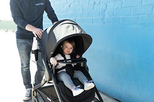Ergobaby Stroller, Travel System Ready, 180 Reversible with One-Hand Fold, Black