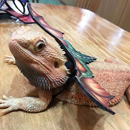 Adjustable Bearded Dragon Harness and Leash,Leather Reptile Leash Outdoor Harness Leash with Bat Wings for Lizard Reptiles Amphibians Small Pet Black Gray B