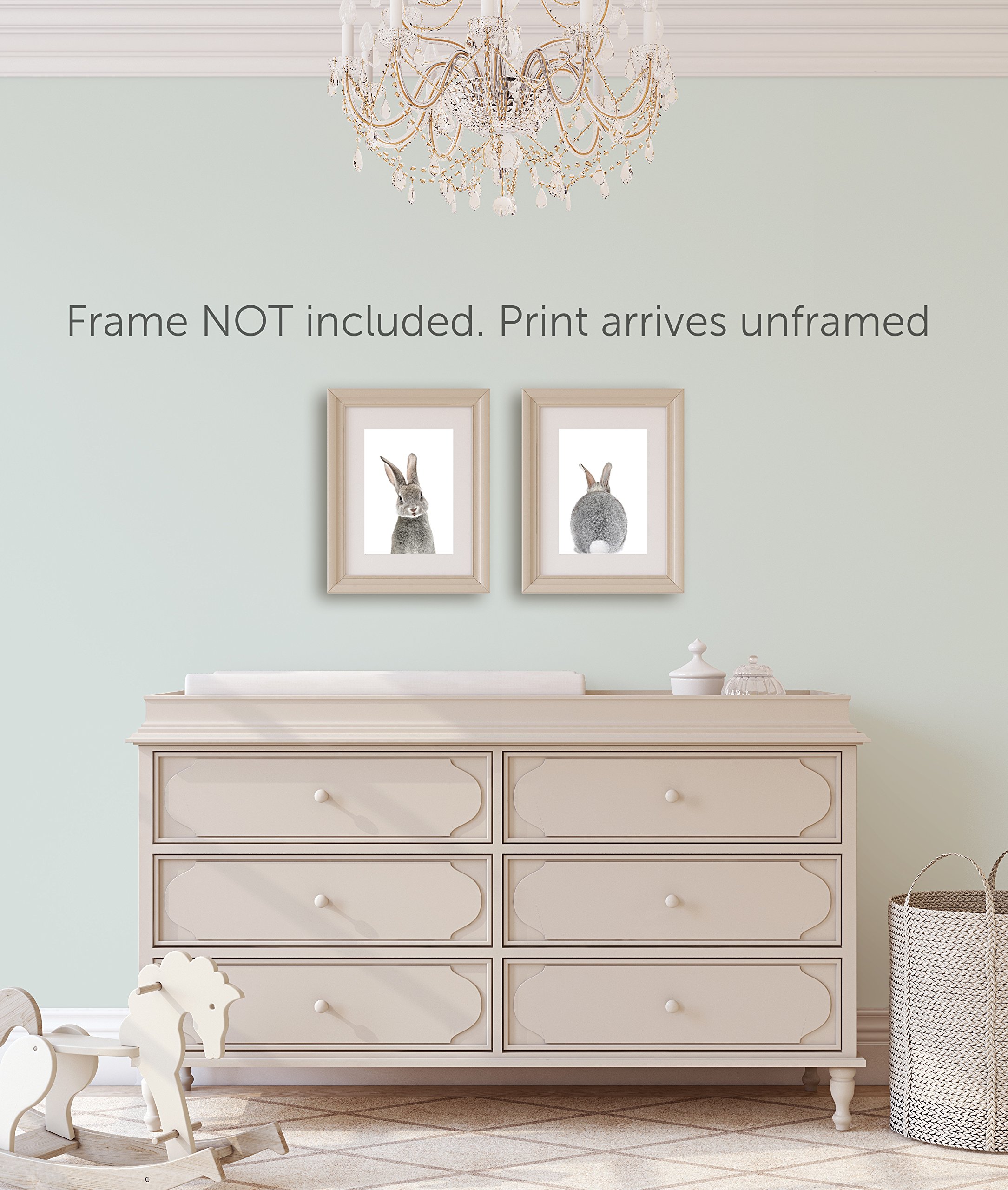 Designs by Maria Inc. Baby Nursery Wall Decor Art - Set of 2 (UNFRAMED) Wall Artwork 8x10 Baby Bunny Front and Back Photographic Print