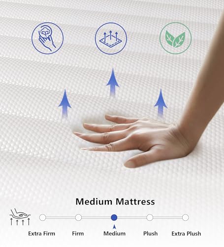 elitespace 10 Inch Memory Foam Hybrid Medium Firm Queen Mattress, Breathable Soft Pressure Relief
