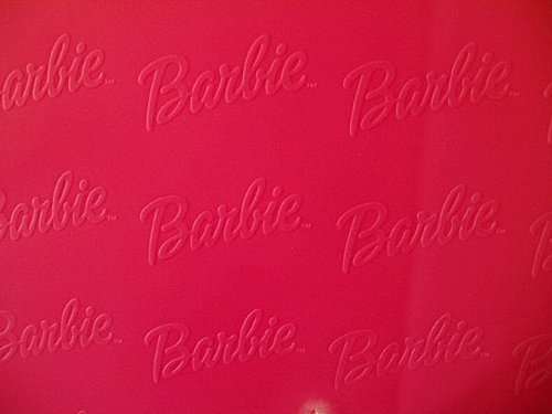 Barbie Doll Case