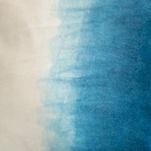 Refinery29 | Ombré Collection | Luxury Decorative Textured Throw Pillows, Ultra Soft with Stylish Modern Chic Design for Home Décor (Pillow, Blue), 18 x 18