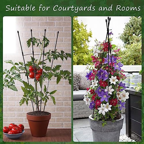 π¨πππππππ 2Packs Trellis for Climbing Plants Outdoor and Indoor, 47.24inch Garden Rustproof Plant Trellis Support Grows Lattice for Indoor Plants Trellis for Potted Flowers Tomatoes, or Vines
