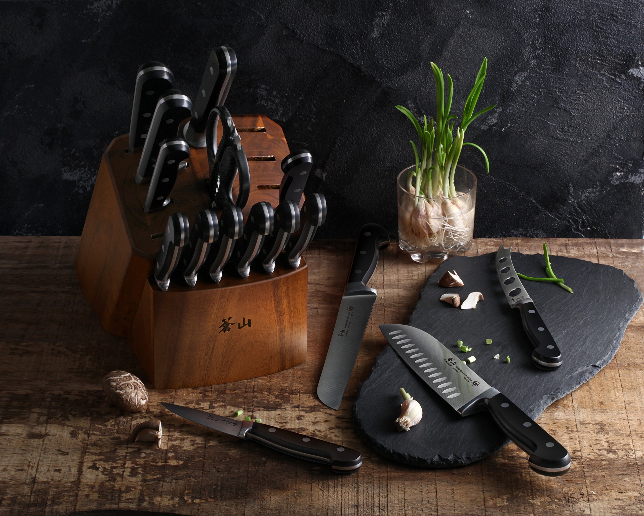 Cangshan TV2 Series 1023053 Swedish 14C28N Steel Forged 17-Piece Knife Block Set, Acacia