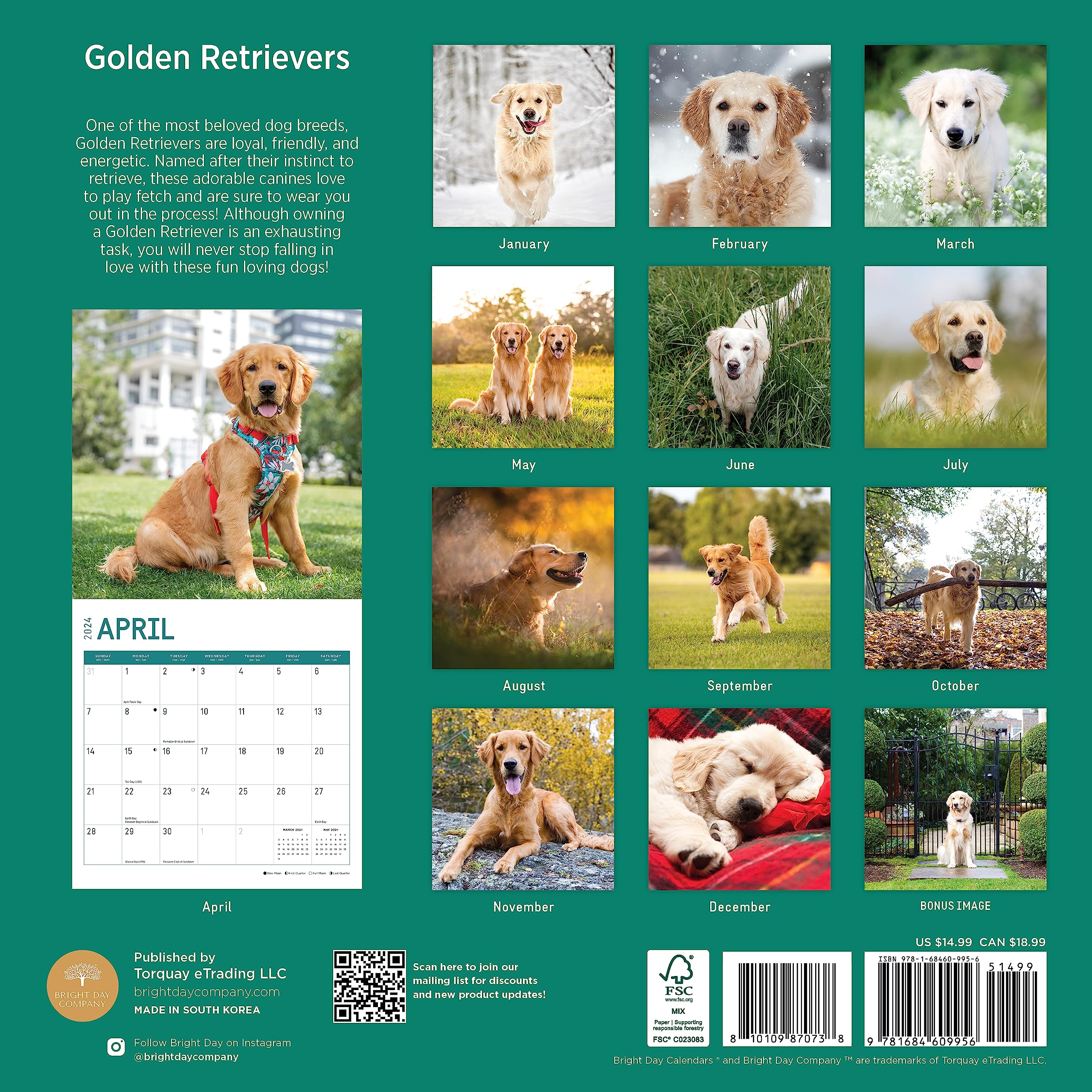 2024 Golden Retrievers Monthly Wall Calendar by Bright Day, 12 x 12 Inch Cute Dog Breed Gift