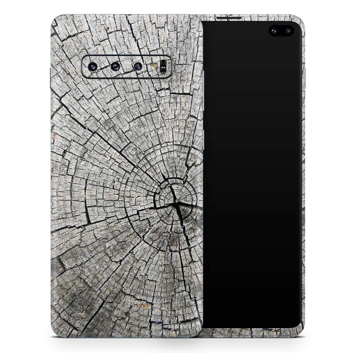 DesignSkinz Aged Cracked Tree Stump Core Protective Vinyl Decal Wrap Skin Cover Compatible with The Samsung Galaxy S20 (Screen Trim & Back Glass Skin)