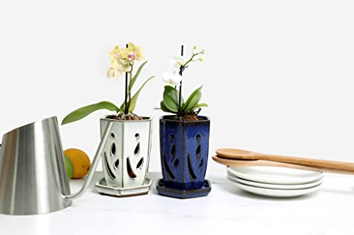 rePotme) 4 x 6 inch Hexagon Ceramic Orchid Pot with Matching Saucer (Teal Jade)
