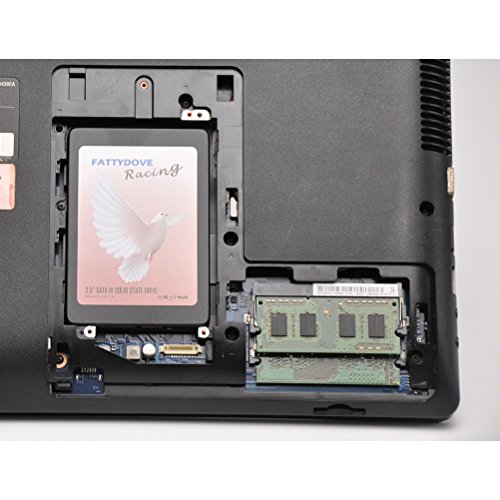 FATTYDOVE 2.5 inch SSD 120GB Internal Solid State Drive SATA3 SSD Drive 2.5 inch 6Gb/s for PC/Laptop with SATA III Cable (120GB SSD Drive)