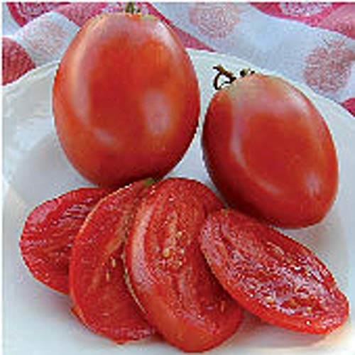 Amish Paste Tomato Seeds (20+ Seeds) | Non GMO | Vegetable Fruit Herb Flower Seeds for Planting | Home Garden Greenhouse Pack