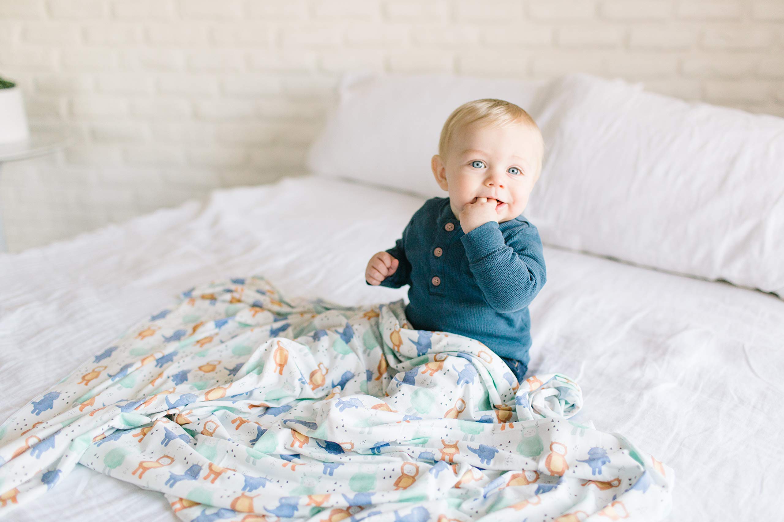 Large Premium Knit Baby Swaddle Receiving Blanket "Max" by Copper Pearl