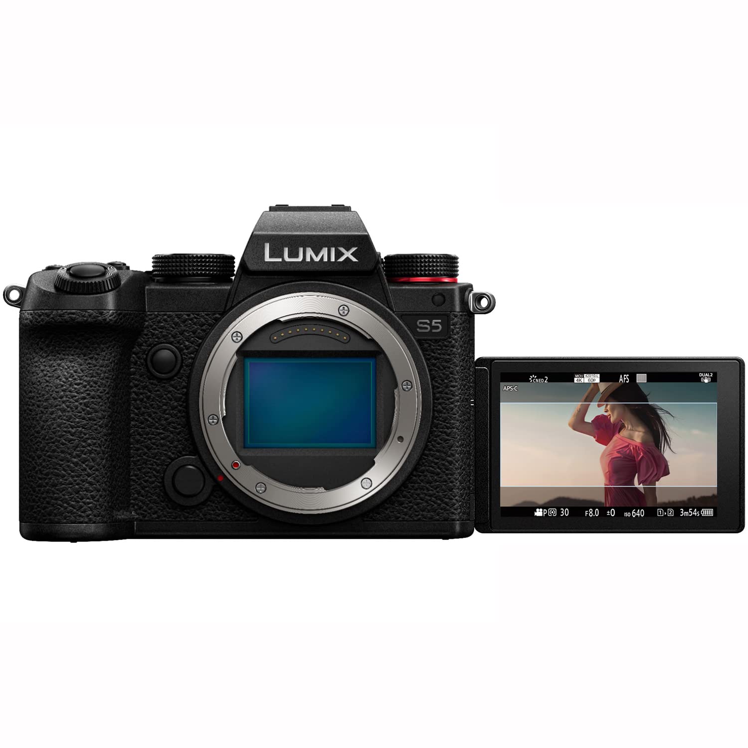 Panasonic LUMIX S5 4K Mirrorless Full Frame Interchangeable L-Mount Lens Camera Body DC-S5BODY Bundle with Deco Gear Microphone + LED + Photography Bag + Software Kit & Accessories