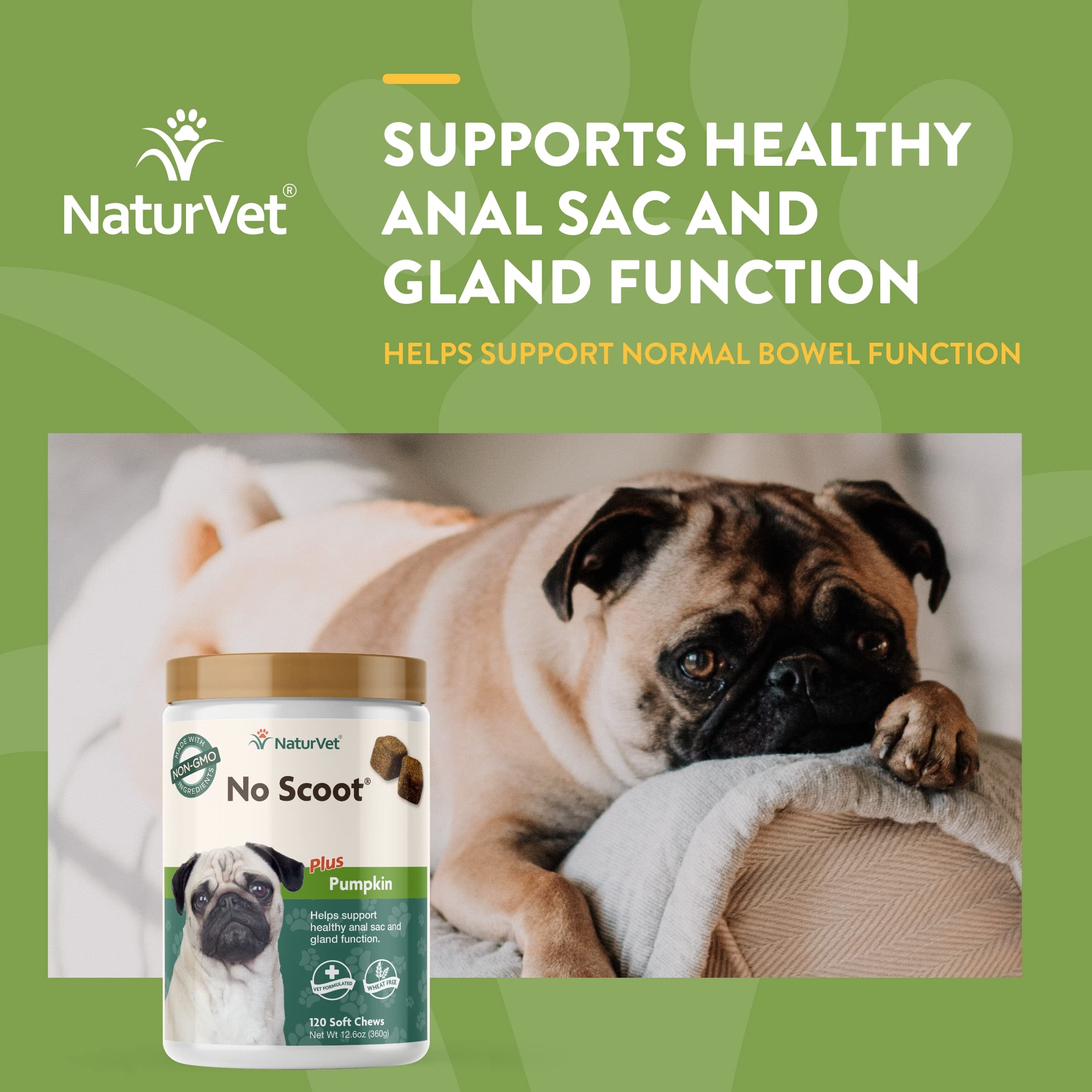 NaturVet β Advanced Probiotics & Enzymes|Supports and Balances Pets with Sensitive Stomachs & Digestive Issues 8 oz & No Scoot for Dogs - 120 Soft Chews - Supports Healthy Anal Gland & Bowel Function