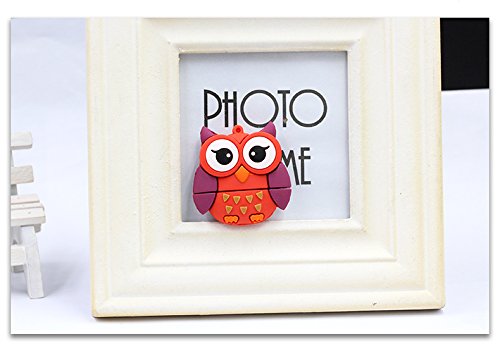 QICAIHU Novelty Big Eyes Owl Shape Design 64GB USB 3.0 Animal Flash Drive Cute Memory Stick Thumb Drive Data Storage Pendrive Cartoon Jump Drive Gift