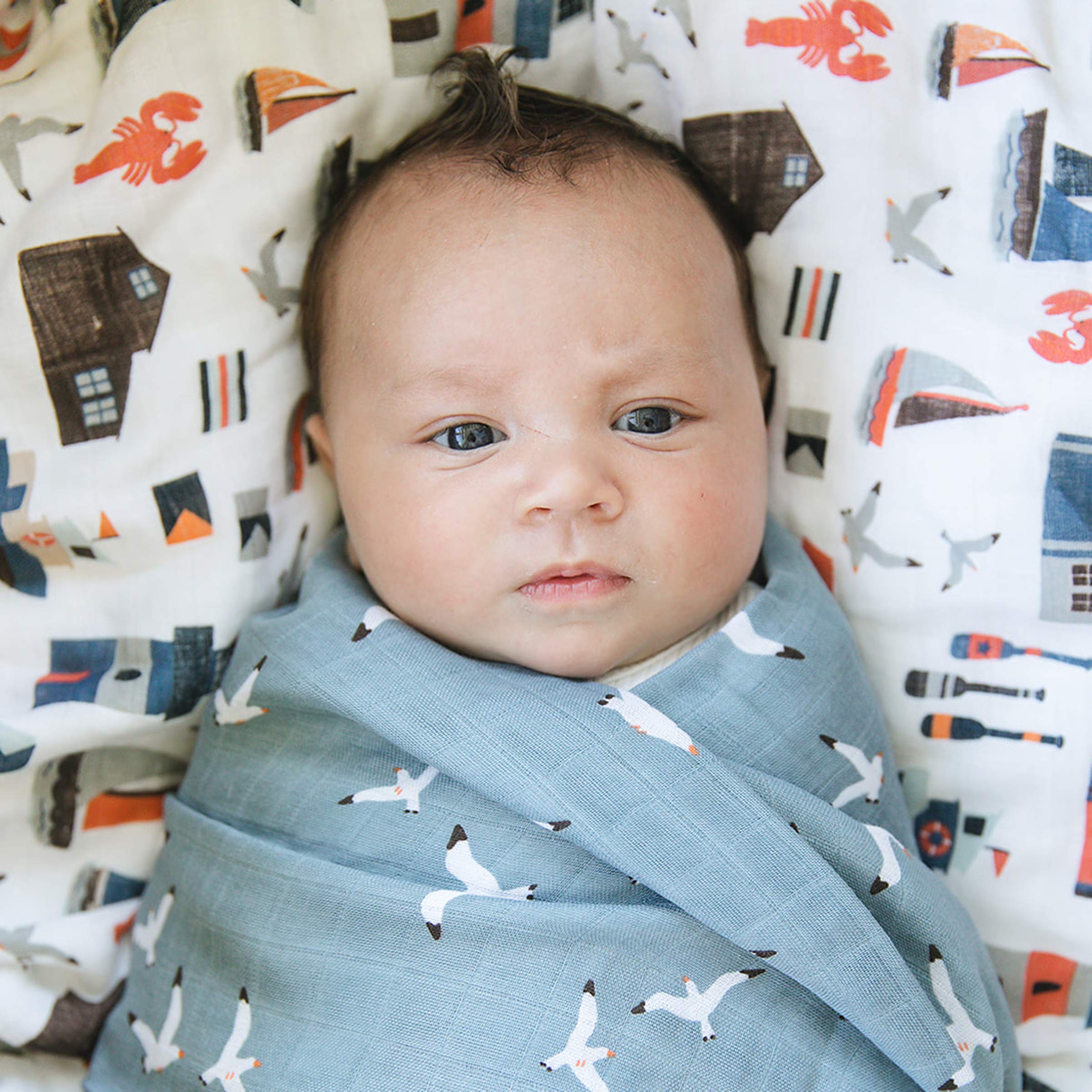 Bebe au Lait Nautical Seagulls Oh-So-Soft Muslin Swaddle Blankets, Blue, One Size (SWBBNT)
