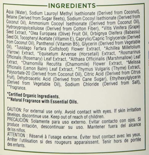Bio Creative Lab Petal Fresh Shampoo, Grape Seed and Olive Oil, 16 Ounce