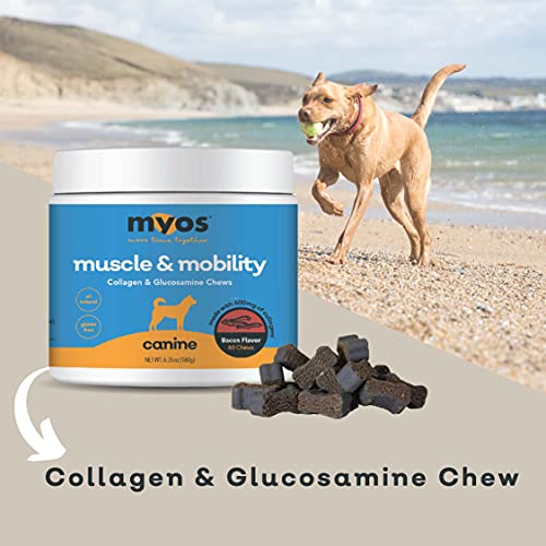 MYOS Canine Muscle & Mobility Chews β Natural Collagen & Glucosamine for Dogs - Bacon Flavor Joint Supplement for Muscle, Bone & Joint Support, 60 Count