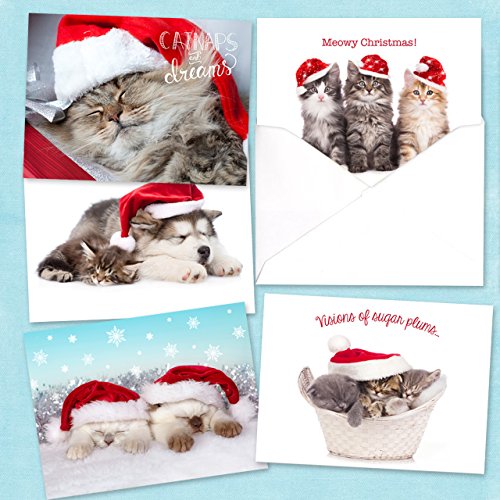 Christmas Cats Holiday Card Assortment Pack / 25 Seasonal Kitten Greeting Cards And Envelopes / 5 Sleeping Santa Animal Designs And Christmas Messages