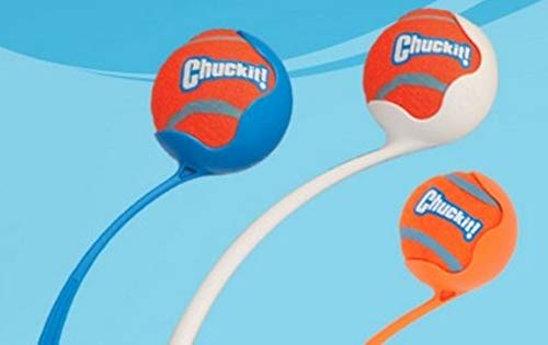 Chuckit Dog Tennis Ball Dog Toy, Small (2 Inch Diameter) for dogs 0-20 lbs, Shrink Wrap Pack of 2