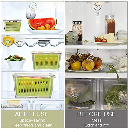 LUXEAR Fresh Container, 3PACK Produce Saver Container BPA Free Fridge Organizer for Vegetable Fruit and Salad Partitioned Food Storage Container with Vents Stay Fresh Containers Not Dishwashers Safe