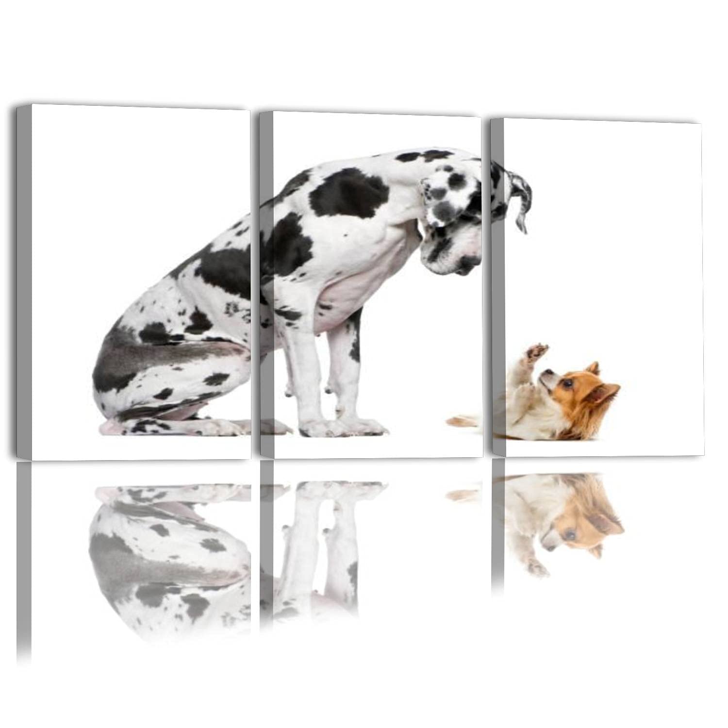 3 Piece Wall Art Painting On Canvas Great Dane sitting and looking at a Chihuahua in front of a white Gallery Wrapped Modern Artwork for Living Room Bedroom Décor Ready to Hang 20"x32"x3 Panel