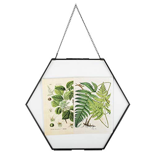 NCYP Side Length 6.8 inches Large Hanging Black Hexagon Herbarium Brass Glass Frame for Pressed Dried Flowers, Poster, Double Glass, Floating Frame Style, Glass Frame Only