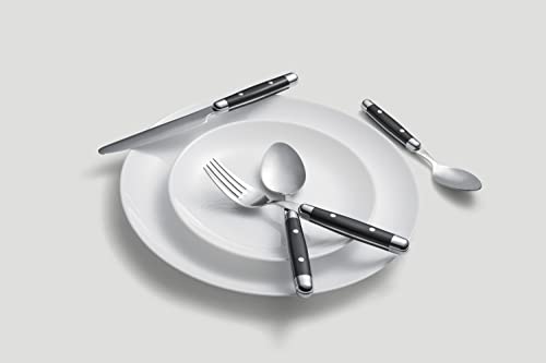 Cambridge Silversmiths 16 Piece Jubilee Flatware Set, Black, First Apartment, Back To College