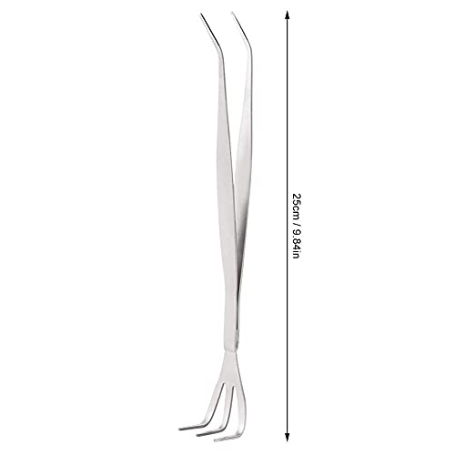 Agatige 2 in 1 Gardening Hand Rake, Stainless Steel Root Claw Rake Bonsai Gardening Hand Tool for Cultivating, Loosening Soil, Spreading Mulch