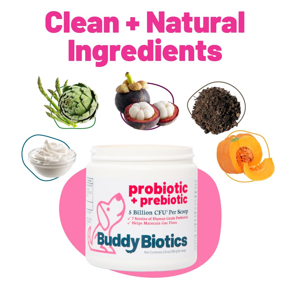 Buddy Biotics Probiotic + Prebiotic for Dogs- Gut Flora Health, Digestive and Immune Health, Diarrhea and Bowel Support β 5 Billion CFU per Scoop