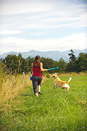 Chuckit The Whistler Ball Dog Toy, Medium (2.5 Inch Diameter) for Dogs 20-60 lbs, Pack of 2, Multicolor