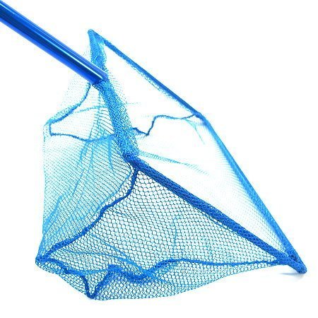 CORISRX BEST OF YOUR LIFESTYLE 12"x 8" Koi Adjustable Fish NET Handle 30~54cm Aluminum Fishing Pond Tank Blue