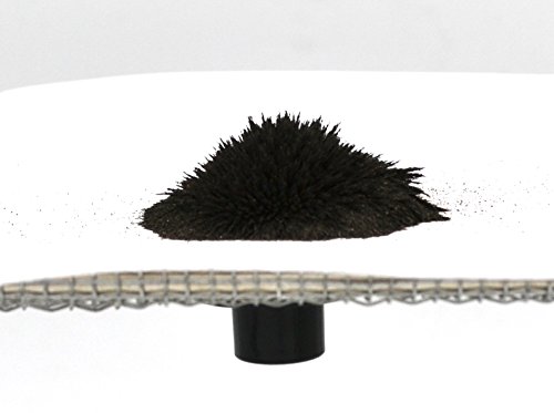 Coarse Iron Filings, 250g - 20 Mesh Iron Shavings for Magnets - Eisco Labs