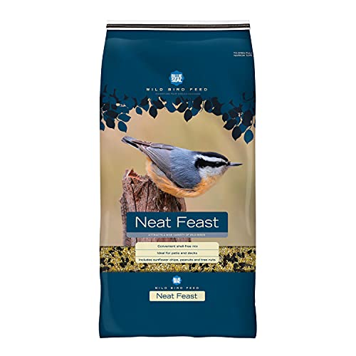 Blue Seal Neat Feast Wild Bird Seed | Convenient Shell-Free Mix | Attracts Wide Variety of Birds | 8 Pound Bag