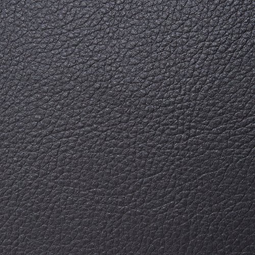 Coaster Samuel Transitional Leather Sofa, Black