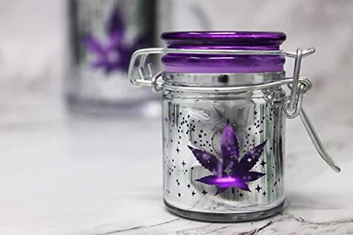 Airtight Glass Herb Stash Jar with Clamping Lid in Choice of Design (Metallic Silver/Purple, Small)