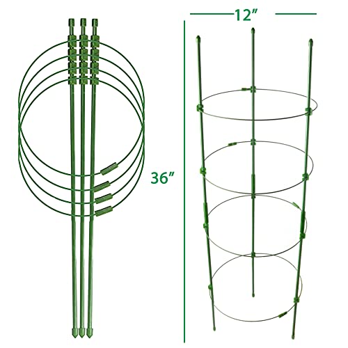 Adjustable Tomato Cage,36" Plant Support Garden Plant Stakes Cucumber Trellis with 4 Adjustable Ring for Climbing Plants Vegetables,Flowers,Fruit,Rose Vine Climbing Plants(6 Pack)