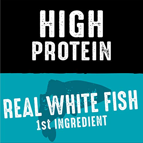 CRAVE Grain Free High Protein Adult Dry Dog Food, White Fish & Salmon, 22 lb. Bag
