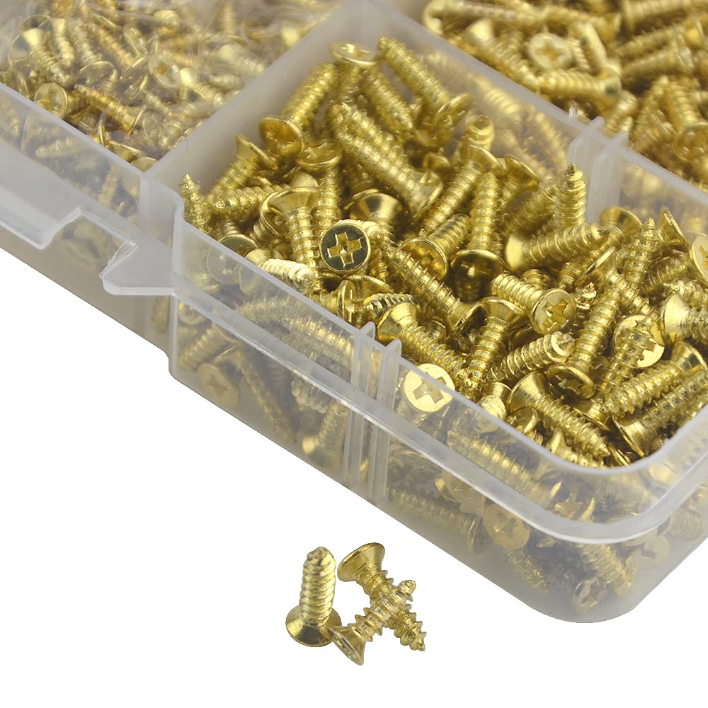 XINGYHENG 1200pcs 6 Kinds M2 M2.5 Gold-Plate Carbon Steel Flat Head Self Tapping Screw Stainless Cross Recessed Pan Head Screw Assortment Kit Collected in A Convenient Case