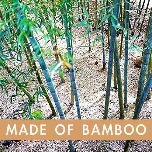 laboos Best Nature Manual Color Bamboo Toothbrush, New Extra Soft Compact Bristle Toothbrush,Best Biodegradable Toothbrush for Gingivitis and Sensitive Teeth. (4 PCS)
