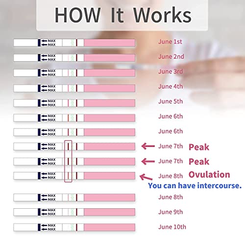 DAVID 50 Ovulation Test Strips, Ovulation Predictor kit, Fertility Test for Women, 50 Free Urine Cup, Fertility Tracker Kit, Accurate Results - 50 Count, LH Test, EXP 10-30-2023