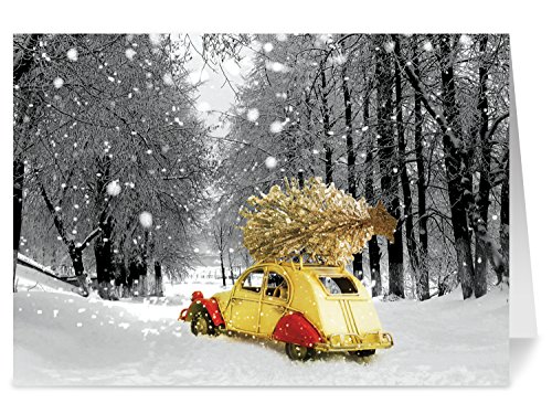 Christmas Cards, Holiday Cards - One Jade Lane - Delivering Warmth, 5x7, Heavy Stock, Set of 18 Cards & Envelopes, Seasons Greetings Cards.