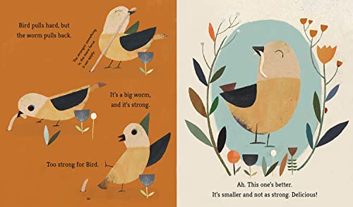 Bird Builds a Nest: A First Science Storybook (Science Storybooks)