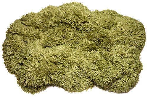 Chanasya Solid Faux Long Fur Throw Blanket - Soft, Fuzzy Throw Blanket - for Bed or Couch - 50" x 65β - Olive Green