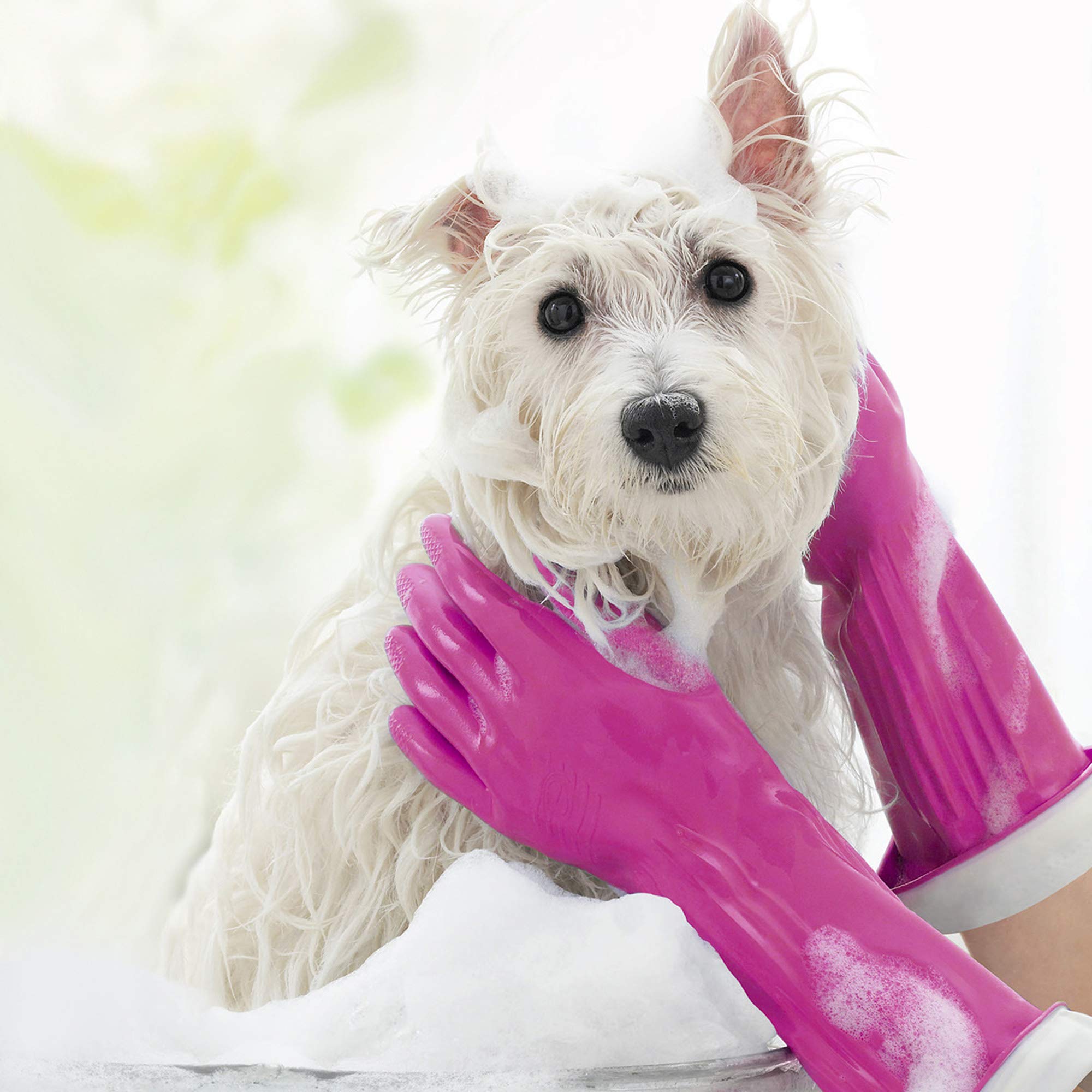 Playtex Living Reuseable Rubber Cleaning Gloves (Small, Pack - 12), Premium Protection Reusable Household Gloves
