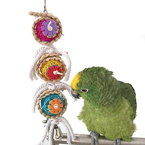 Bird Chew Toy for Parrot Macaw African Greys Amazon Budgies Parakeet Cockatoo Cockatiels Conure Lovebird Finch Canary Cage