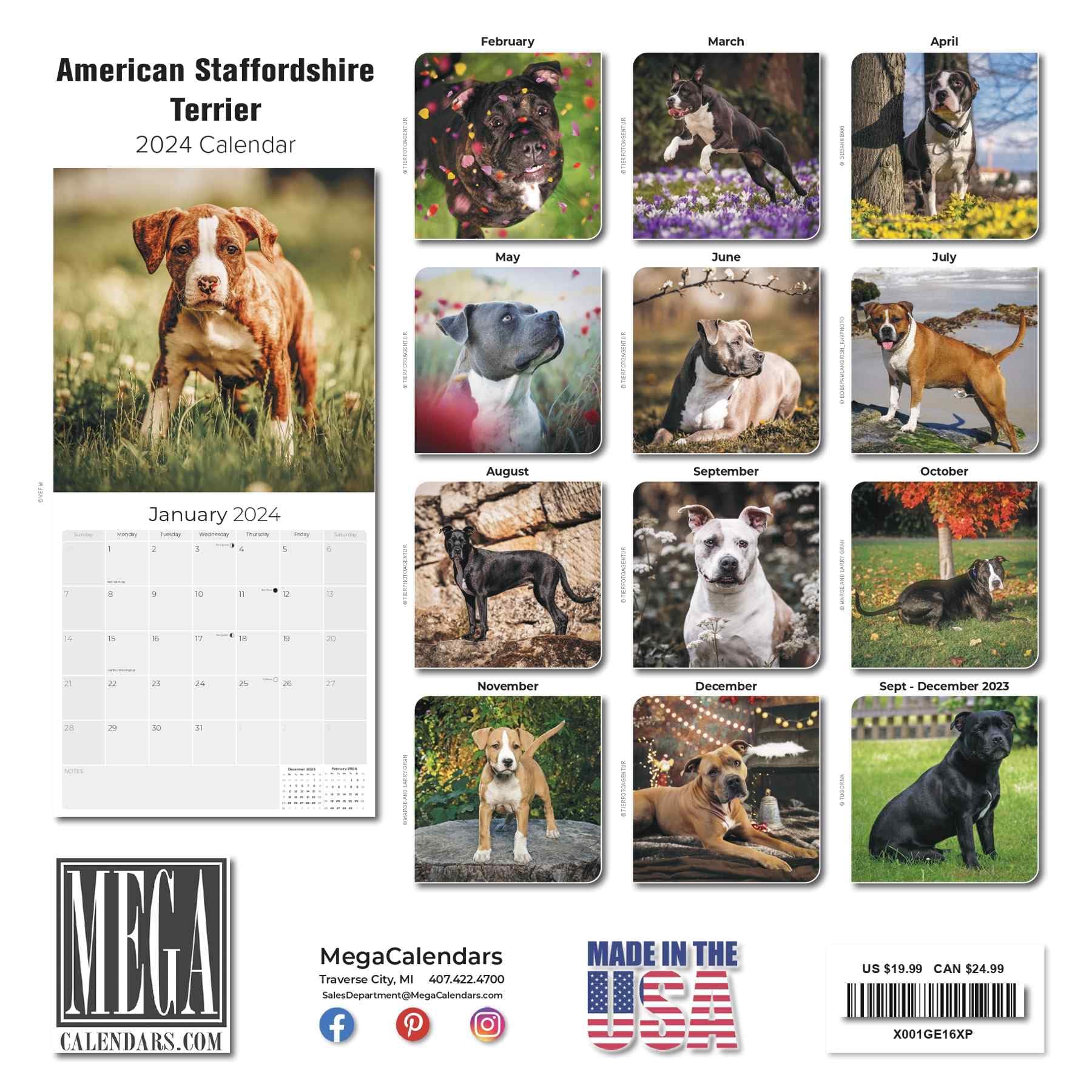 2023 2024 American Staffordshire Terrier Calendar - Dog Breed Monthly Wall Calendar - 12 x 24 Open - Thick No-Bleed Paper - Giftable - Academic Teacher's Planner Calendar Organizing & Planning