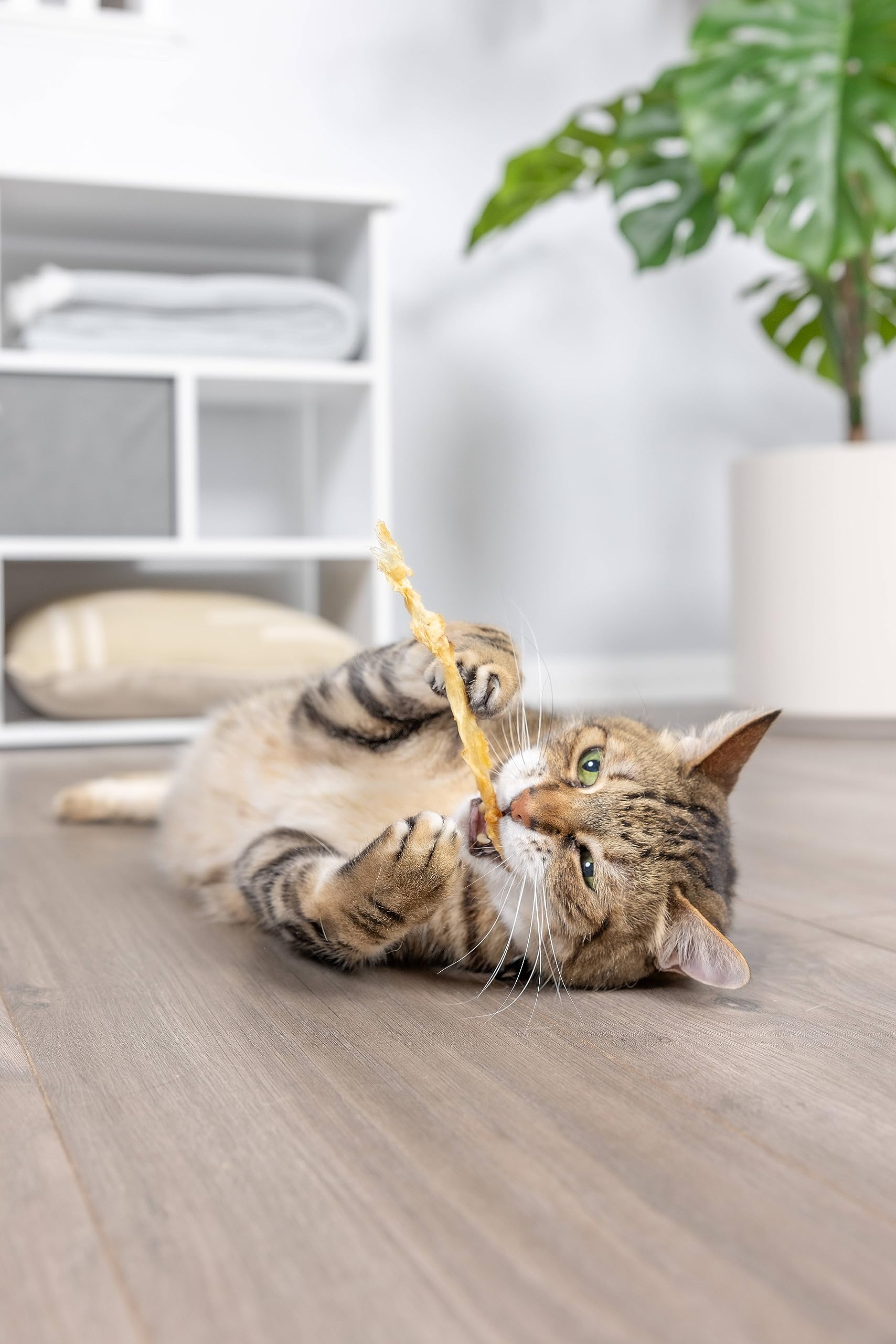 Natural Cravings: USA Turkey Tendons - 8 oz - Dog & Cat Chew, All Sized Pets, Light Chewers, Slow Roasted Single Ingredient Treat, Preservative Free